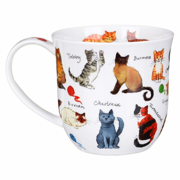 Dunoon Cumbrae Cat Breeds Mug – Queen's Pantry Teas